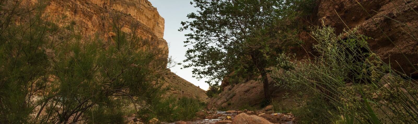 Τζασέμπ - iranculture